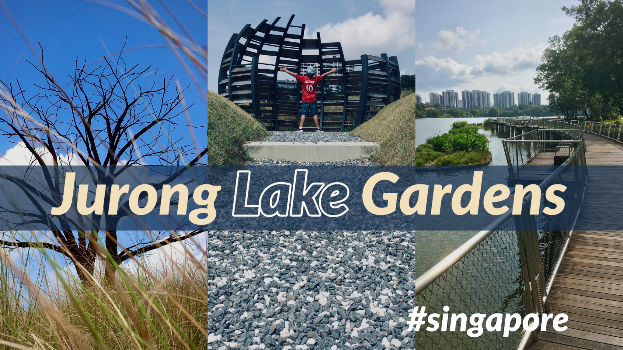 Jurong Lake Gardens (Jan-2020) - Balukoo Travel Blog