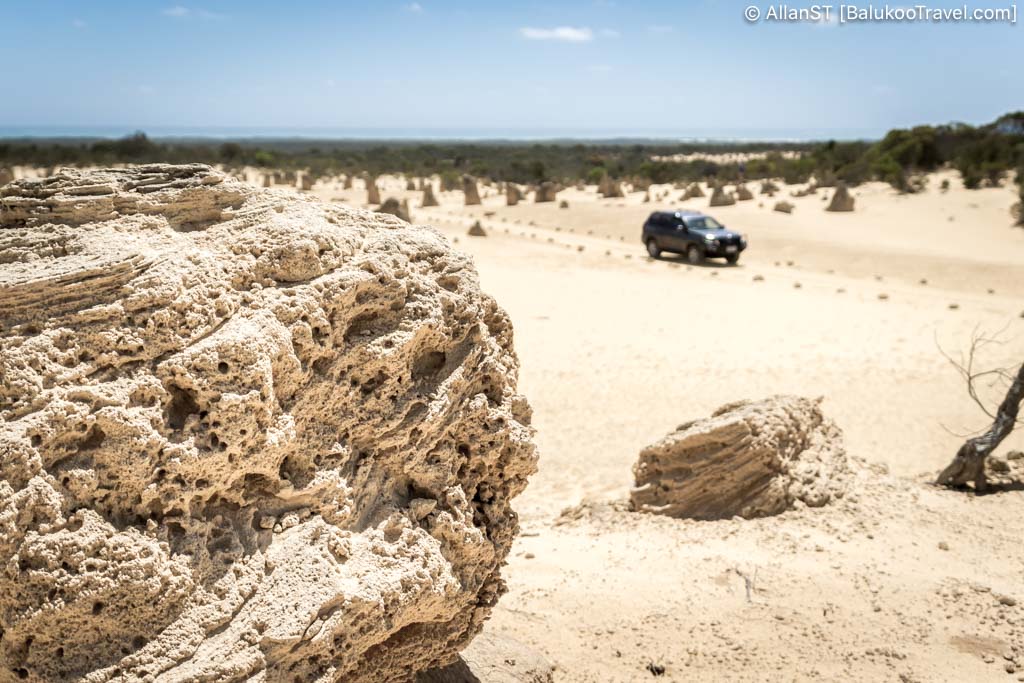 The Pinnacles, Lancelin Sand Dunes and Hutt Lagoon Pink Lake (Western ...