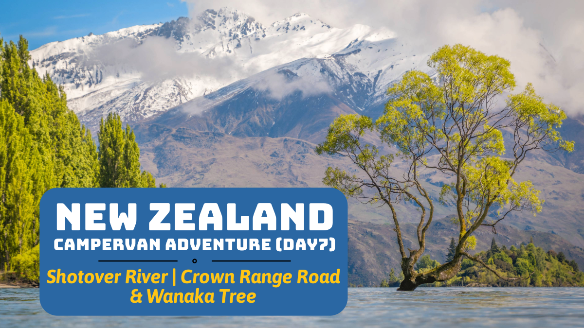 New Zealand Day 7: Wanaka Tree, Crown Range Road & Shotover River ...
